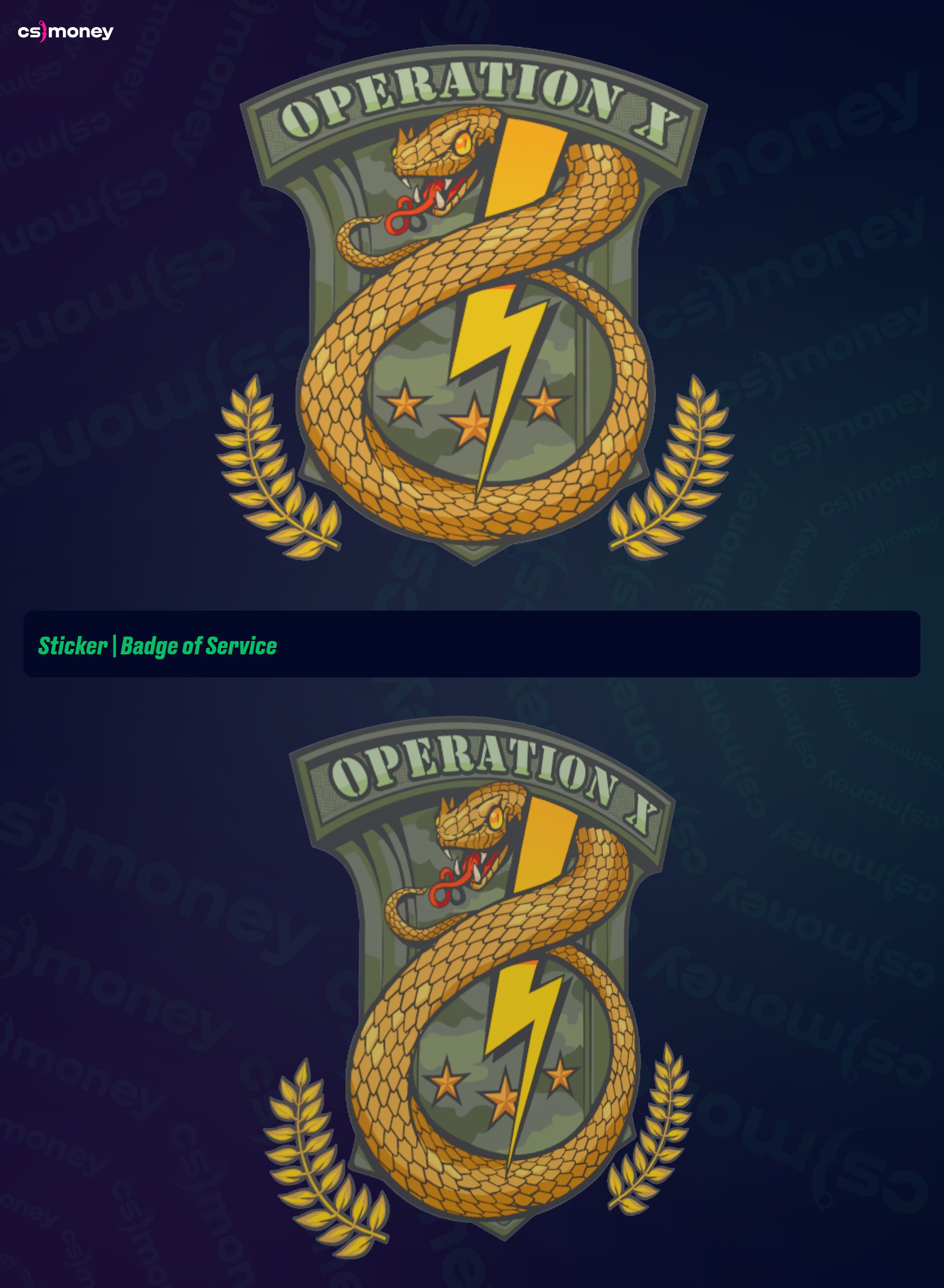 Sticker | Badge of Service — Byt CS:GO/CS2 skins på CS.MONEY